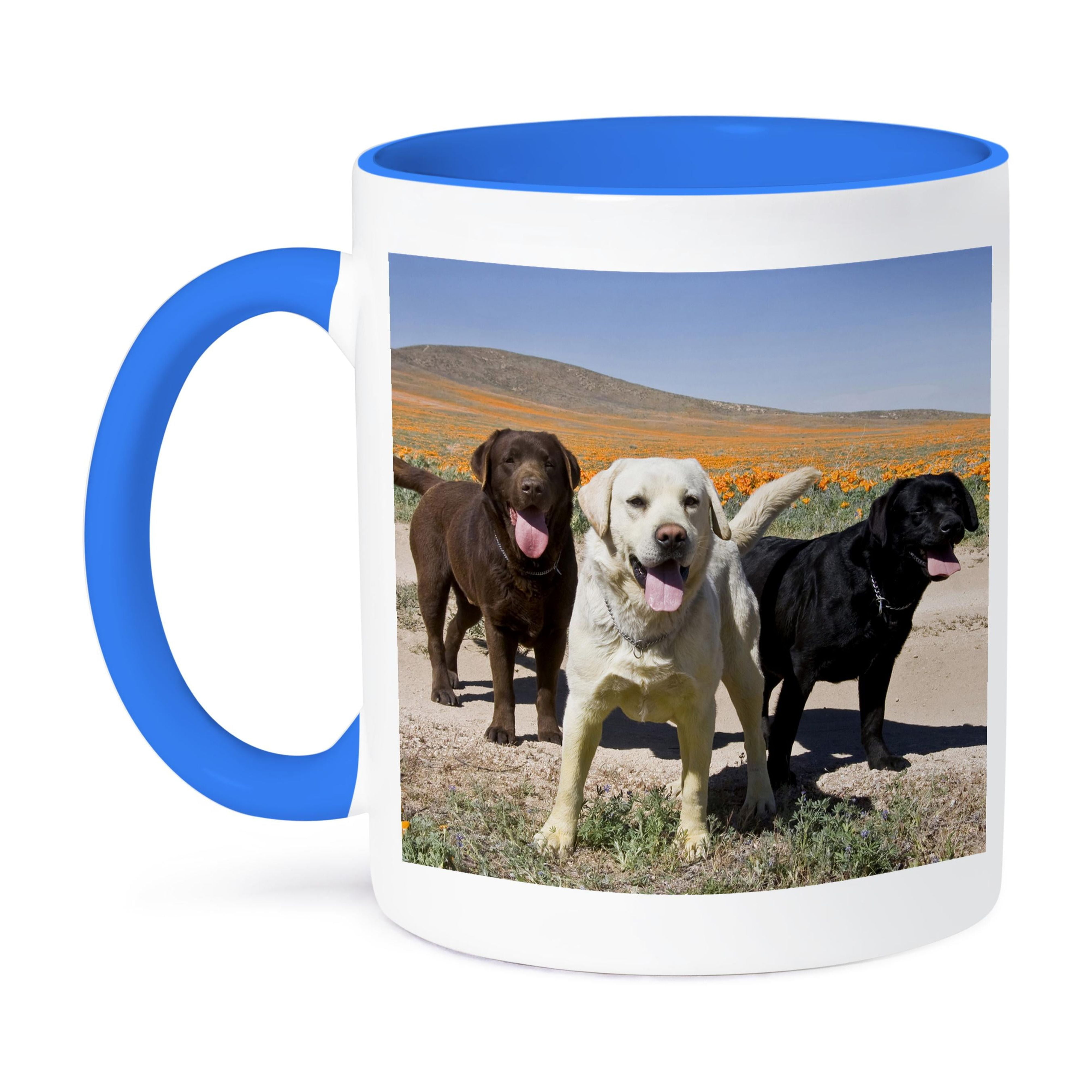 3dRose, Three colors of Labrador Retriever dogs - US05 ZMU0355 ...