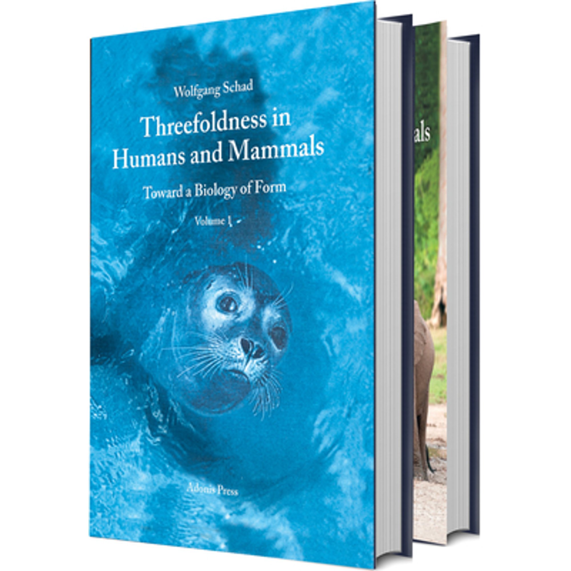 Pre-Owned Threefoldness in Humans and Mammals: Toward a Biology of Form ...