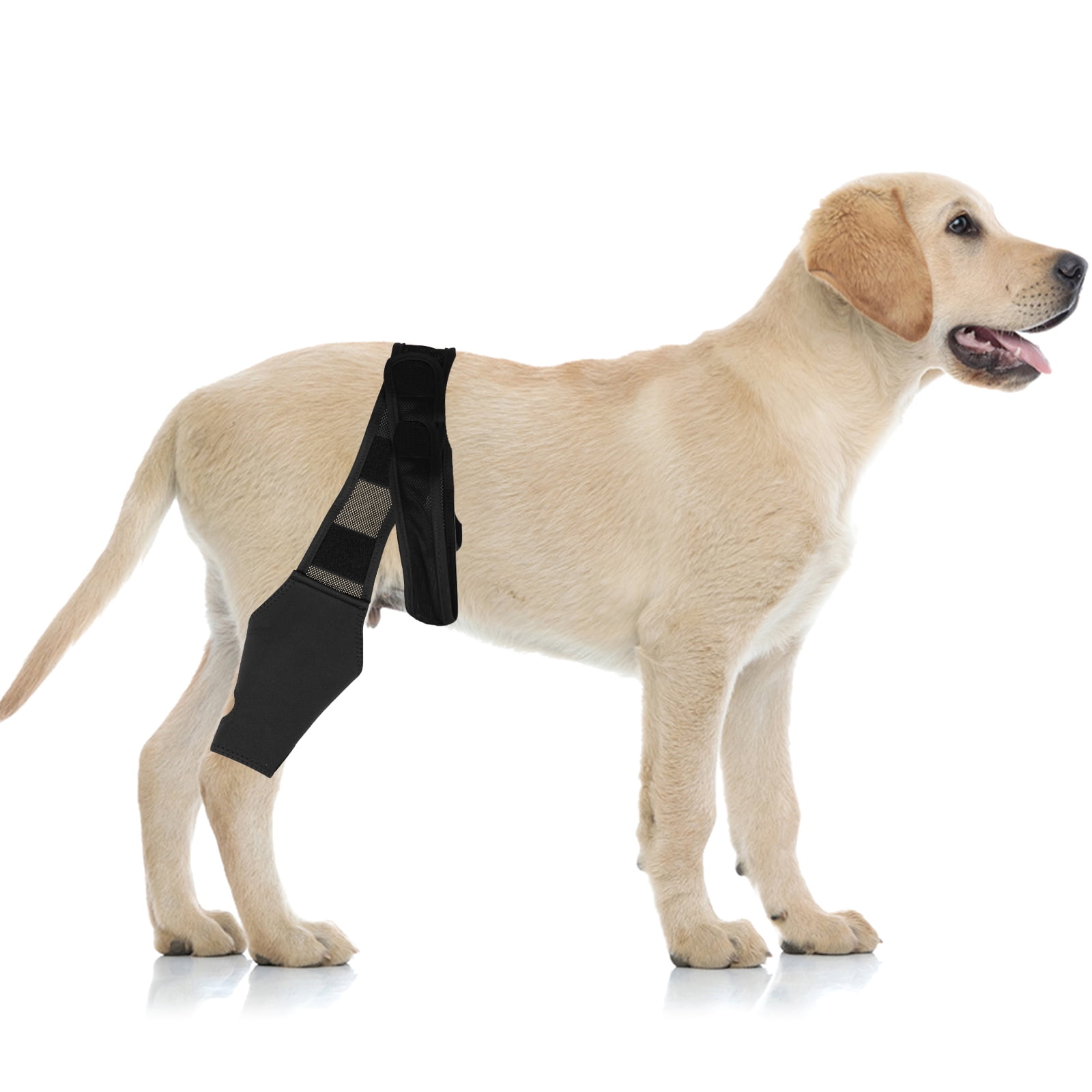 Keyohome Dog Knee Brace Adjustable Dog Leg Braces Breathable Pet Back ...