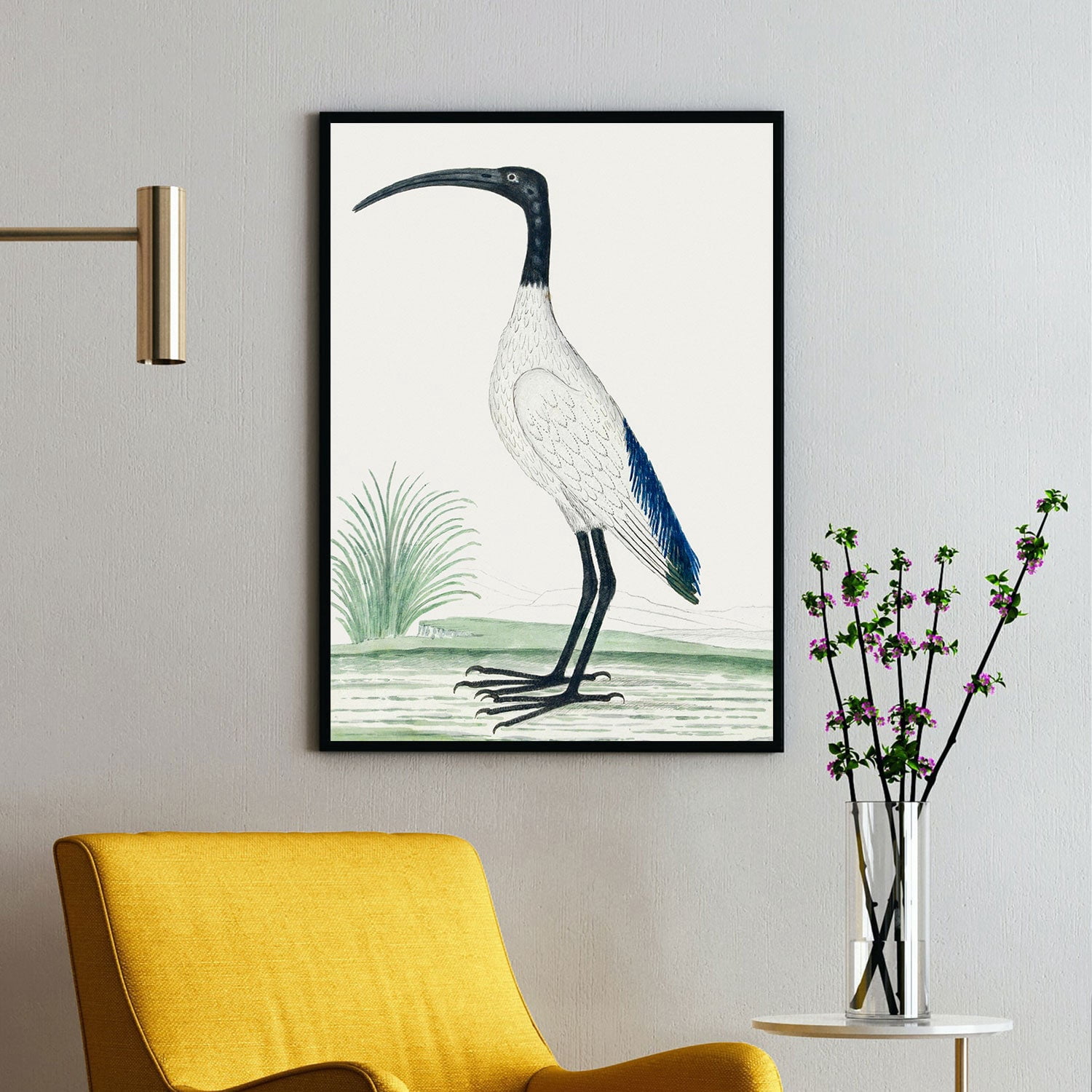 Threskiornis Aethiopicus: African Sacred Ibis - 1778 | Robert Jacob ...
