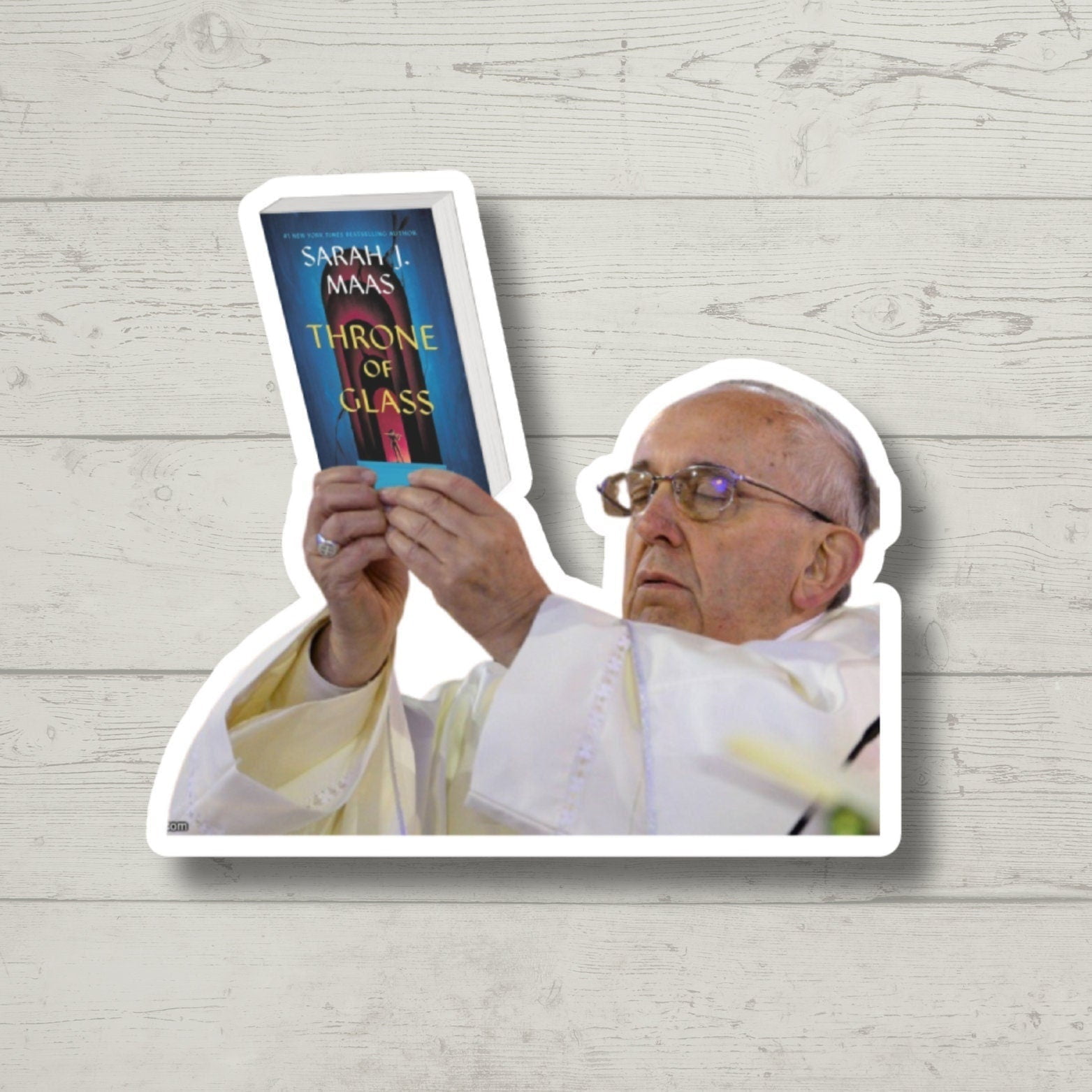 Throne of Glass pope meme inspired smut, laptop stickers, funny ...