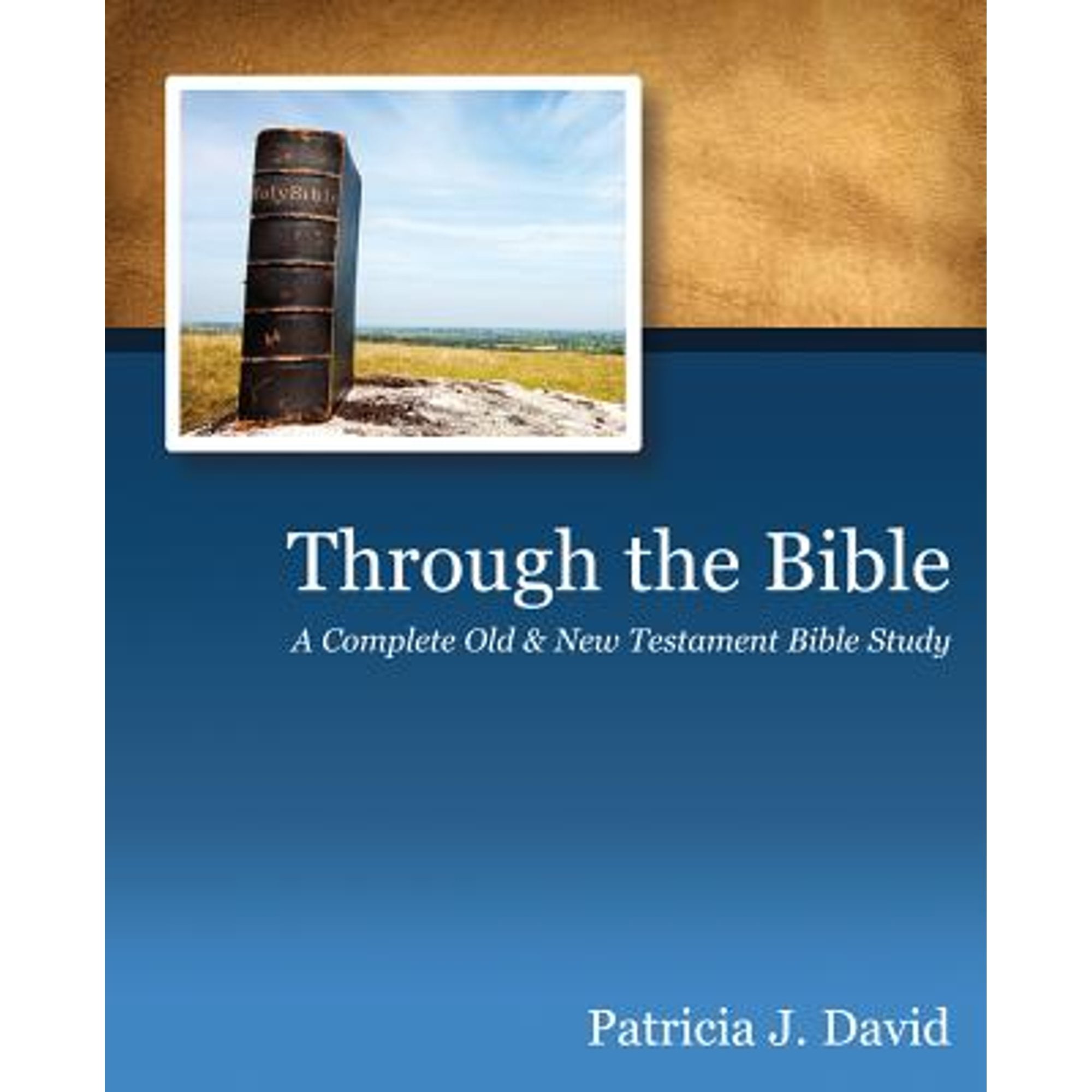 Through The Bible: A Complete Old & New Testament Bible Study - Walmart.com