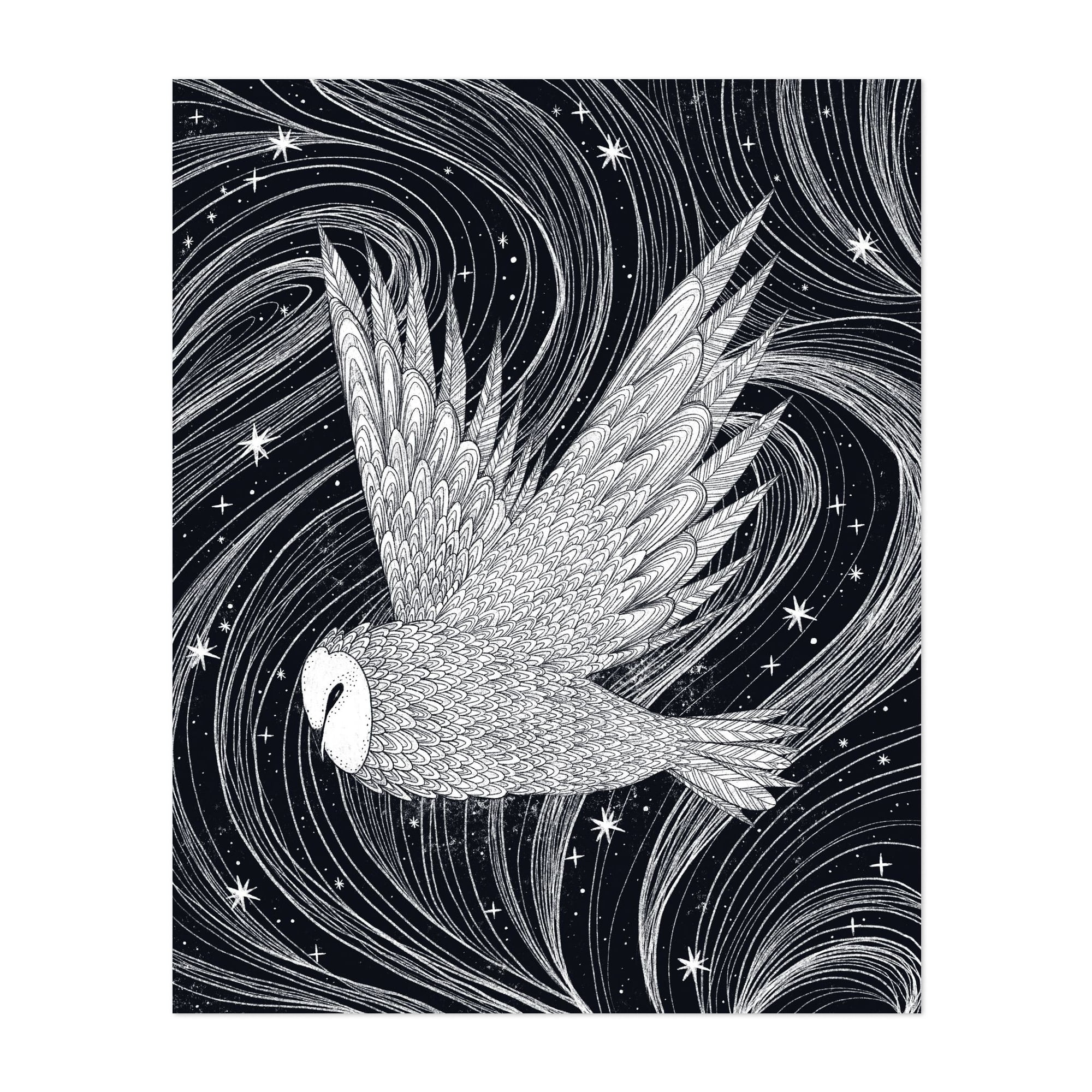 Through Time & Space - Drawing Night Sky Line Art Cosmic Stars Bird ...