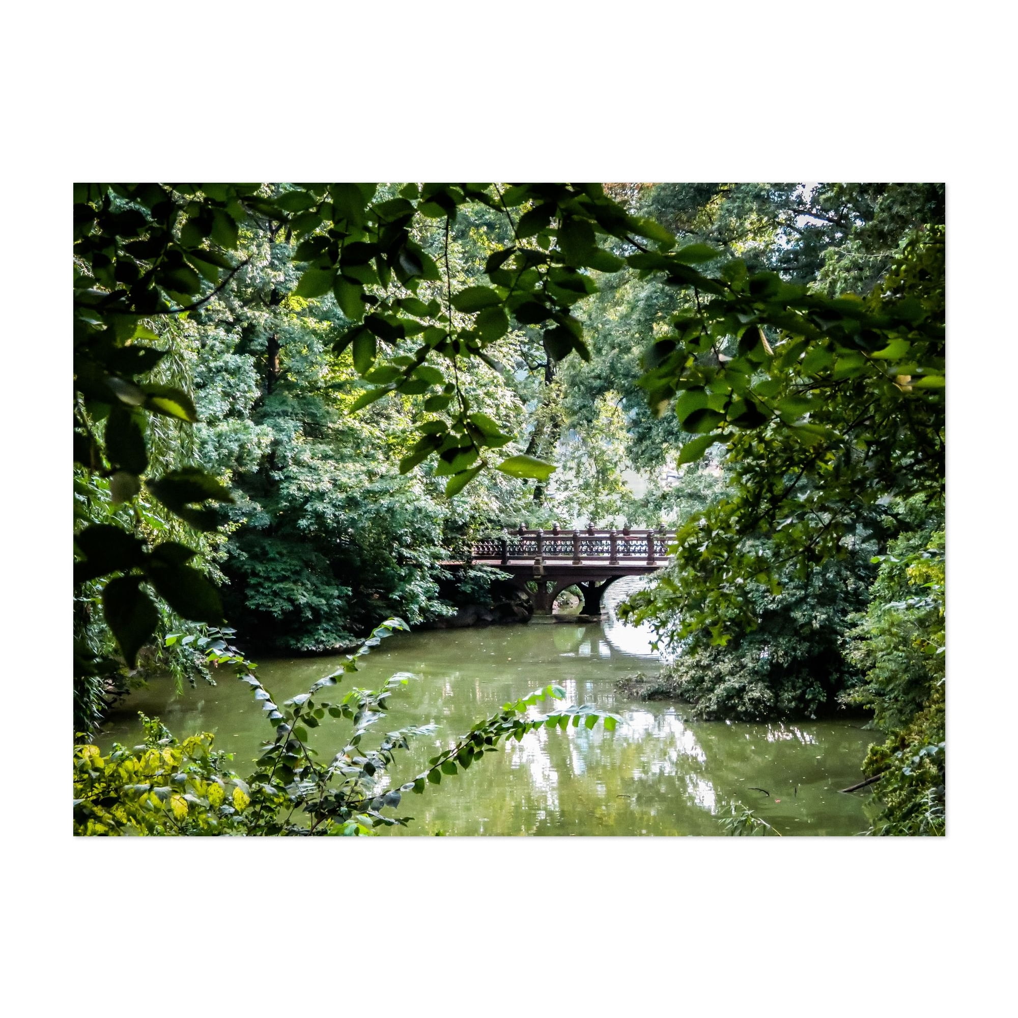 Through the Trees - Manhattan New York Photography Bridge Nature ...