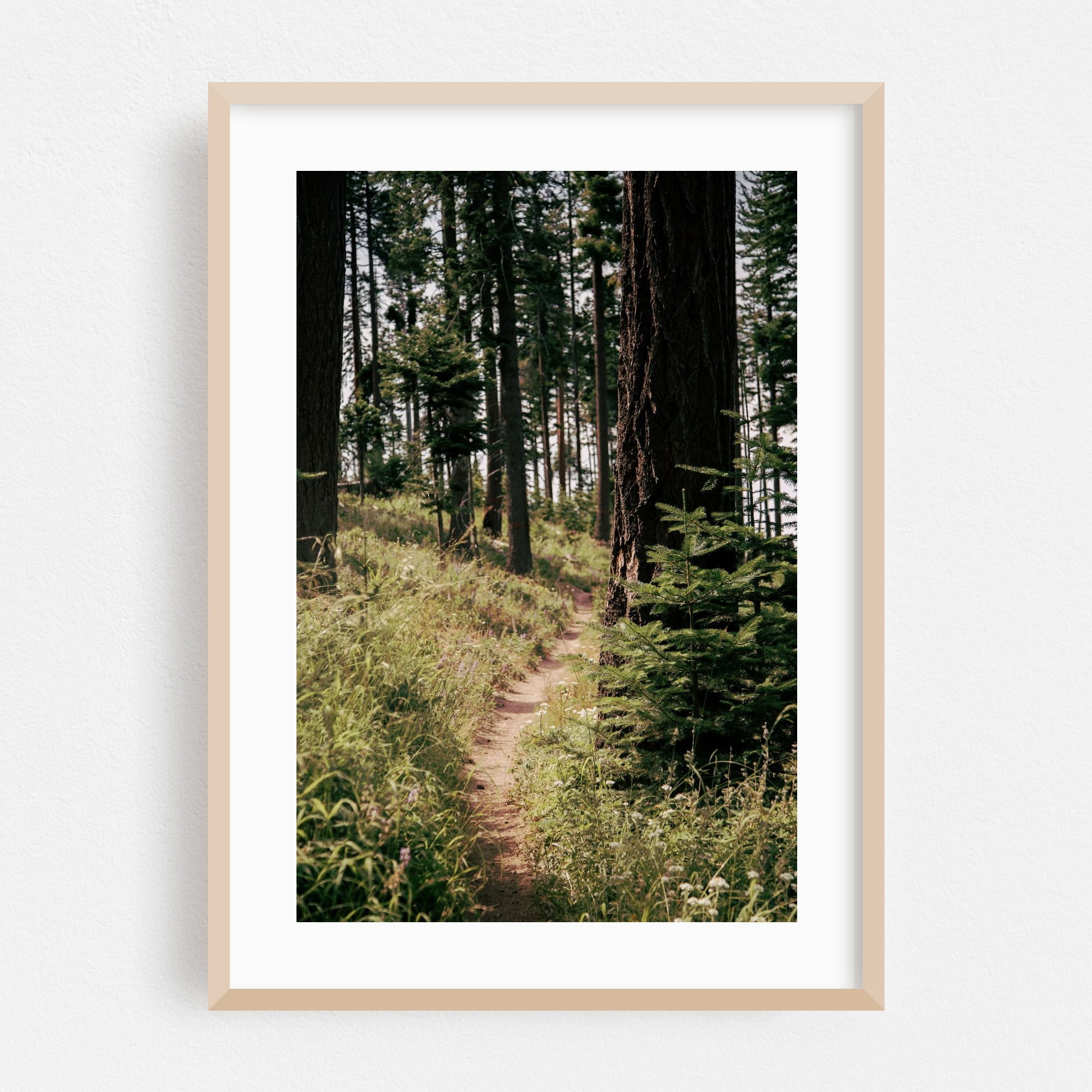 Through the Woods - Oregon Photography Forest Nature Woodland Scenic ...