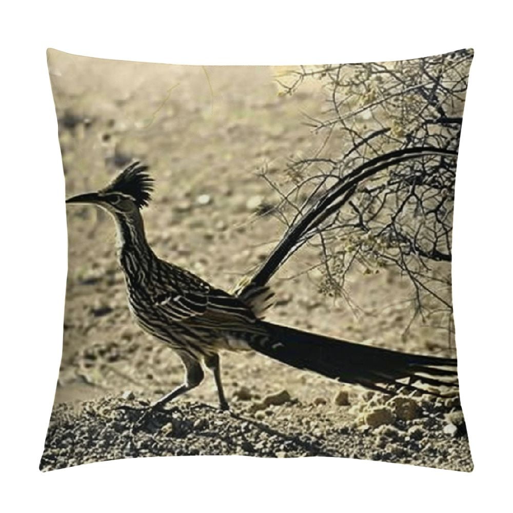 Throw Pillow Cove Roadrunner Bird Chaparral Ground Cuckoo Fas - Walmart.com