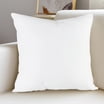 JeashCHAT Throw Pillow Insert, 20"x20" Pillow Insert for Decorative ...
