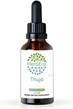 HerbEra Thuja Tincture, Herbal Dietary Supplement for Immune Support ...