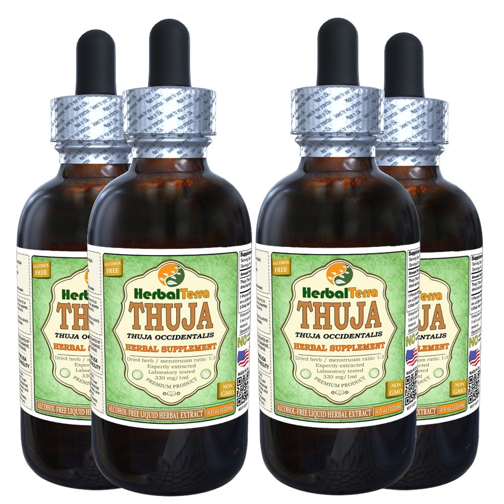 Thuja (Thuja Occidentalis) Glycerite, Organic Dried Leaves Alcohol-FREE ...