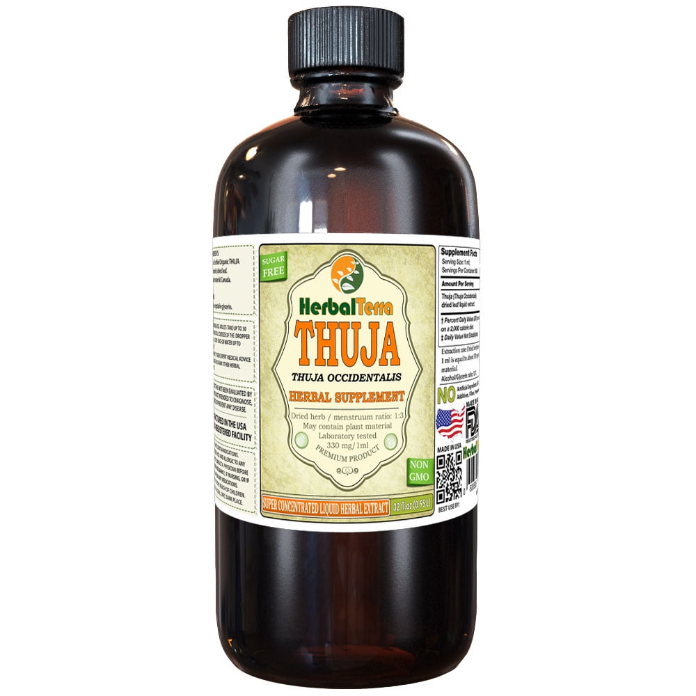 Thuja (Thuja Occidentalis) Tincture, Organic Dried Leaves Liquid ...