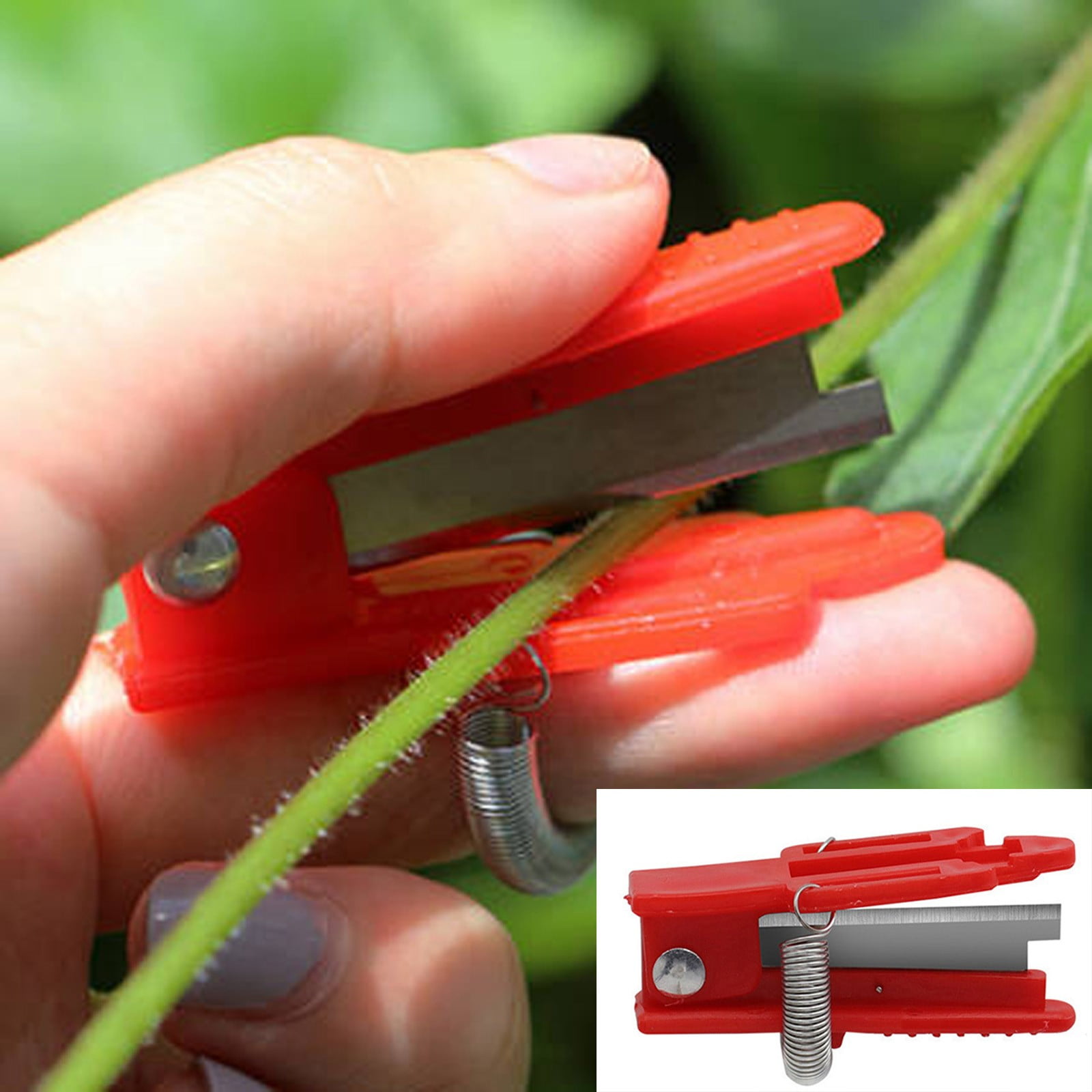 Thumb Picking Knife Vegetable Pinching Tool Small Guillotine Blade, for ...