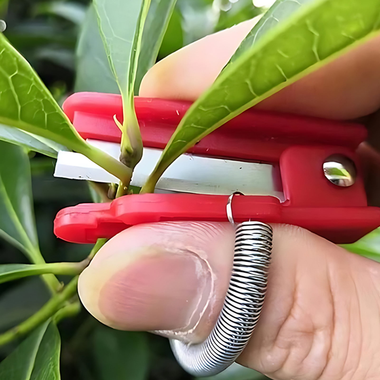 Thumb Pruner Knife, Picking Finger Knife, Gardening Small Guillotine ...