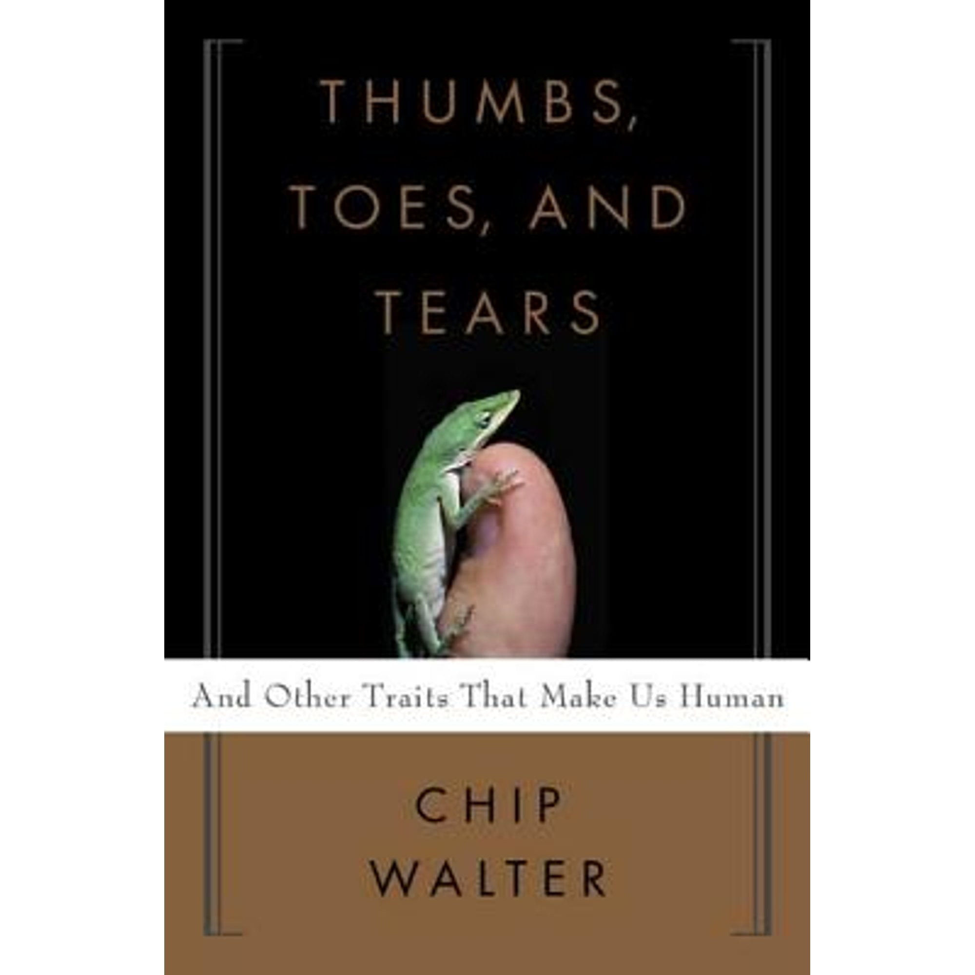Chip Walter