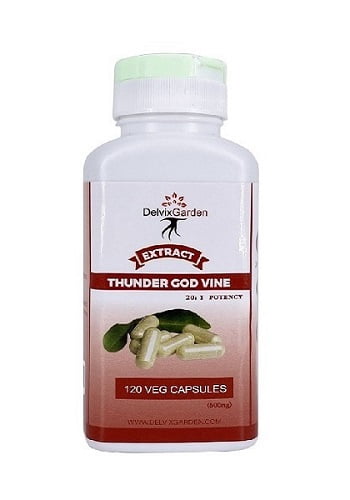 Thunder God Vine Root Supplement – 120 Capsules for Joint Health ...