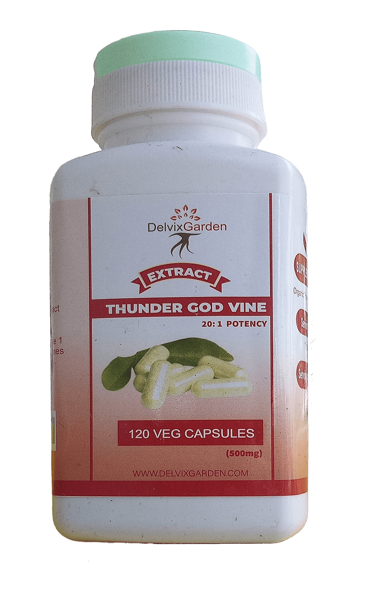 Thunder God Vine Supplement – 120 Capsules of Pure Thunder God Vine ...