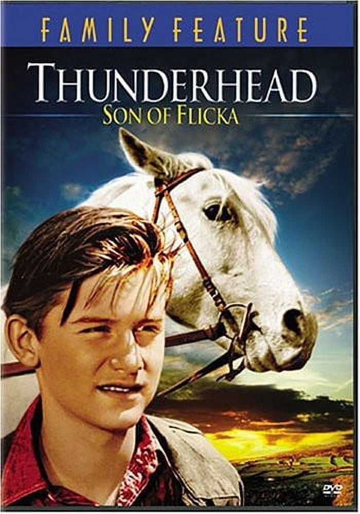Thunderhead: Son of Flicka (DVD) - Walmart.com