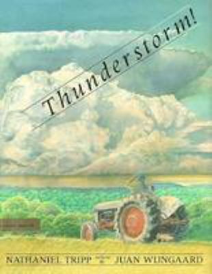 Pre-Owned Thunderstorm (Hardcover) 0803713665 9780803713666 - Walmart.com