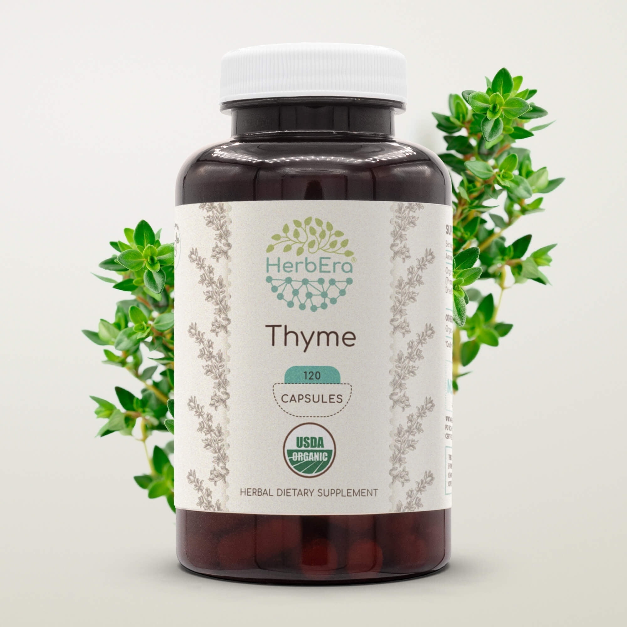 HerbEra Thyme Capsules, Organic Herbal Dietary Supplement for ...