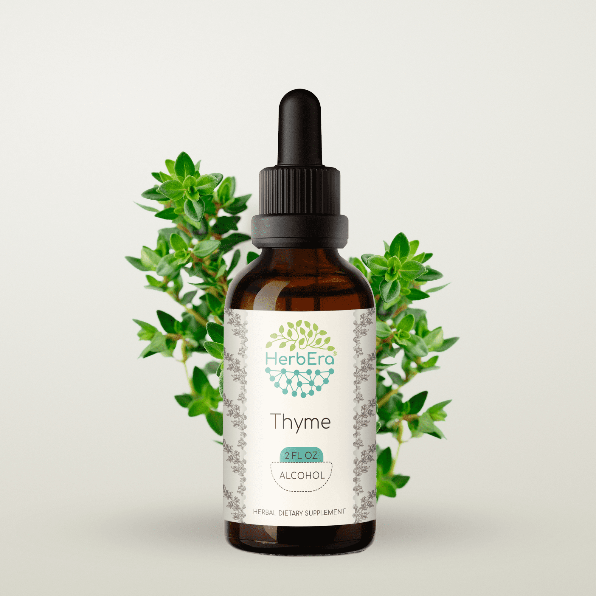 HerbEra Thyme Tincture, Herbal Dietary Supplement for Respiratory ...
