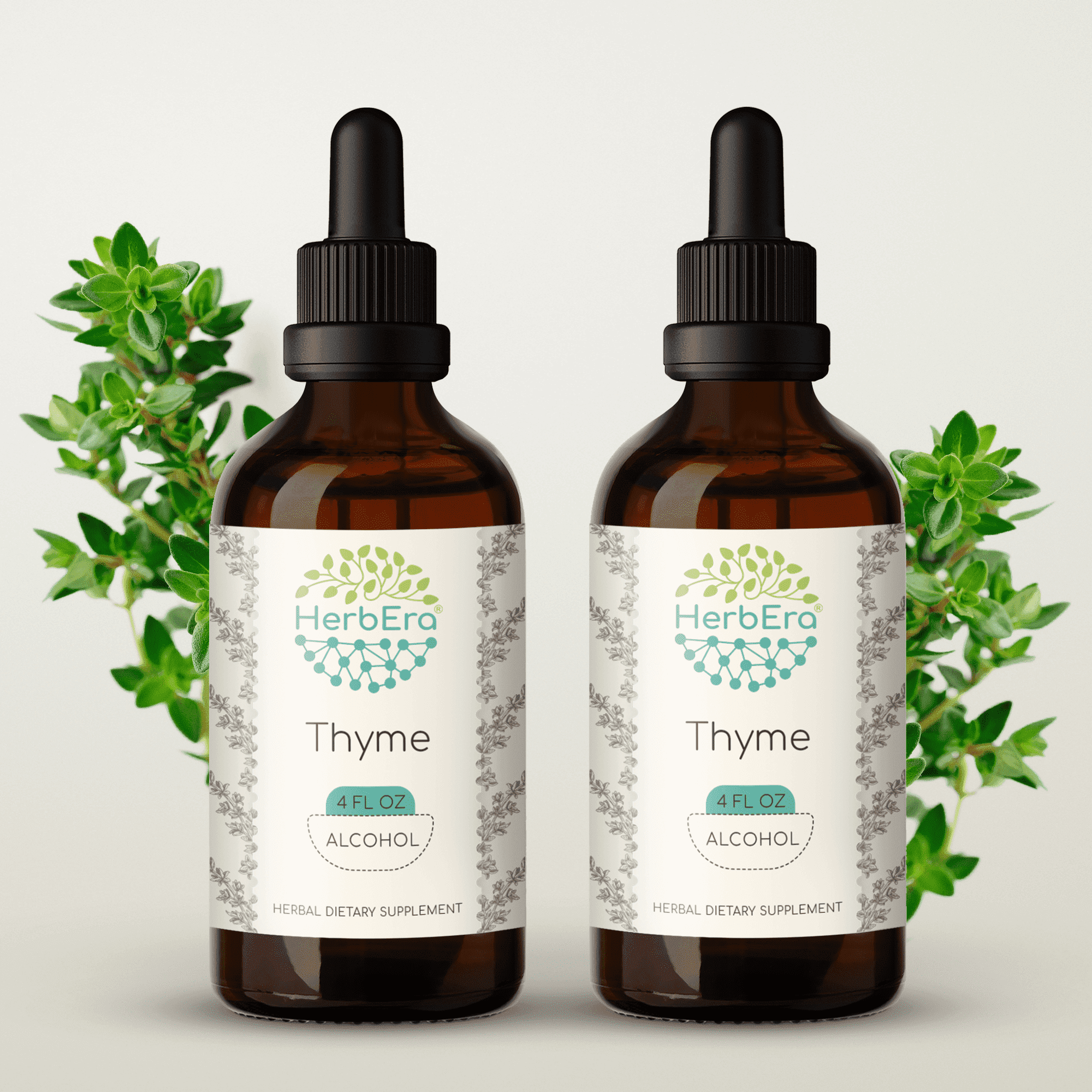 HerbEra Thyme Tincture, Herbal Dietary Supplement for Respiratory ...