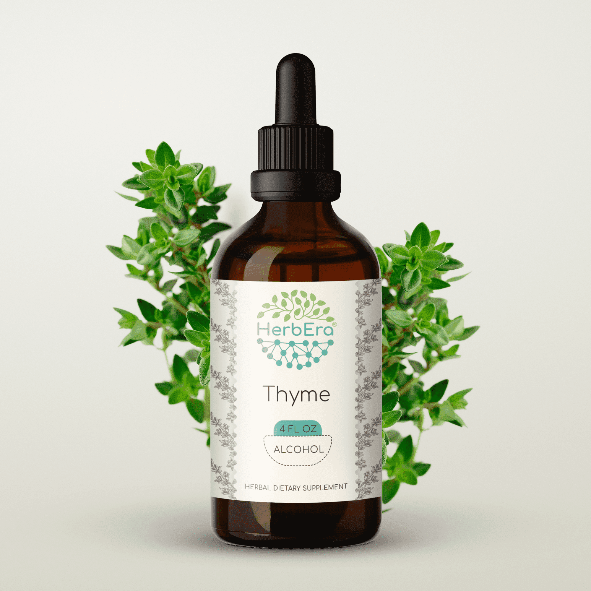 HerbEra Thyme Tincture, Herbal Dietary Supplement for Respiratory ...
