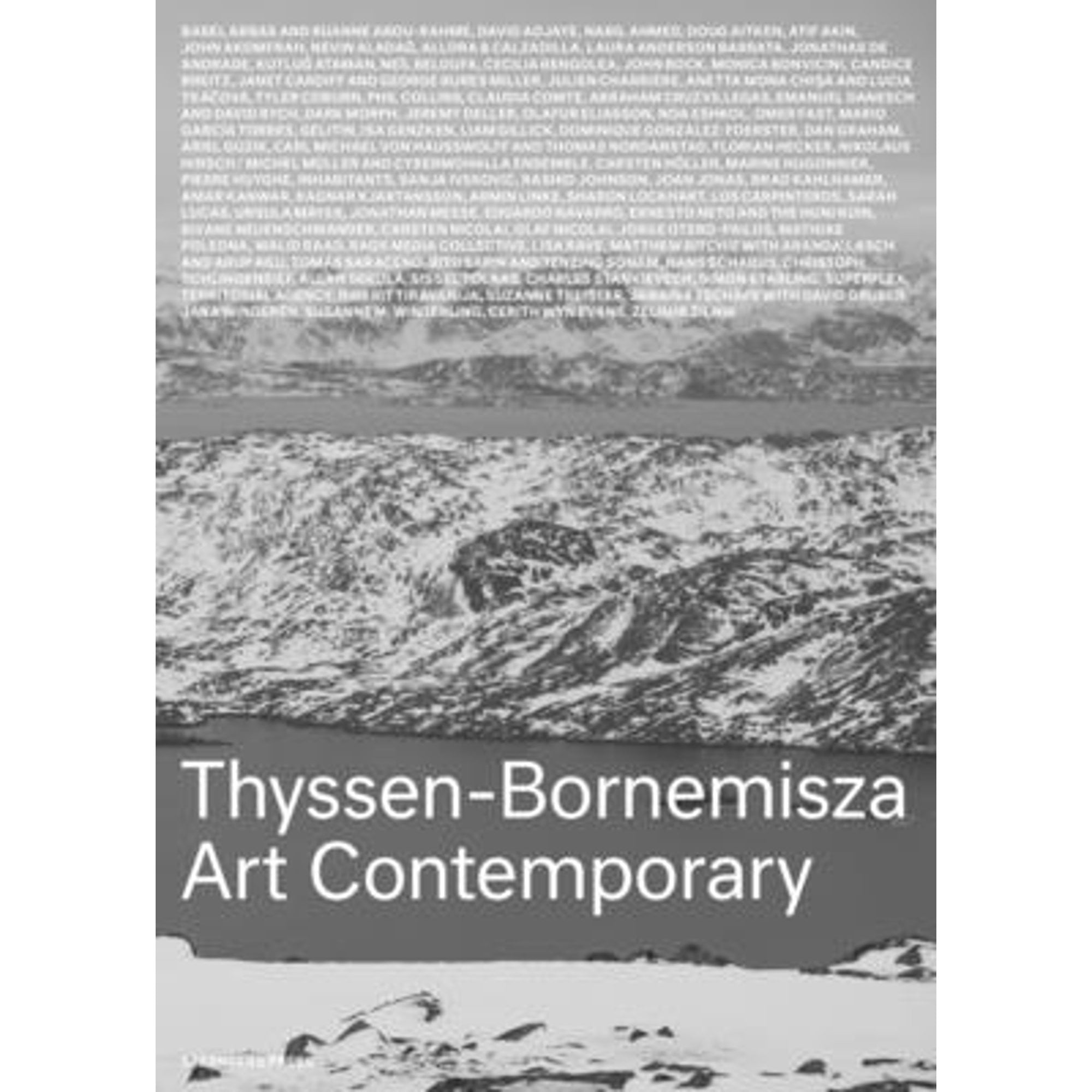 Pre-Owned Thyssen-Bornemisza Art Contemporary: The Commissions Book ...