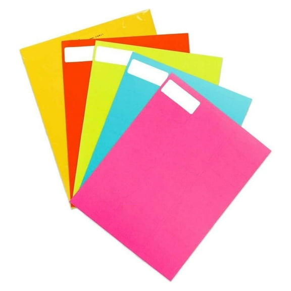 Shipping Label Pouches