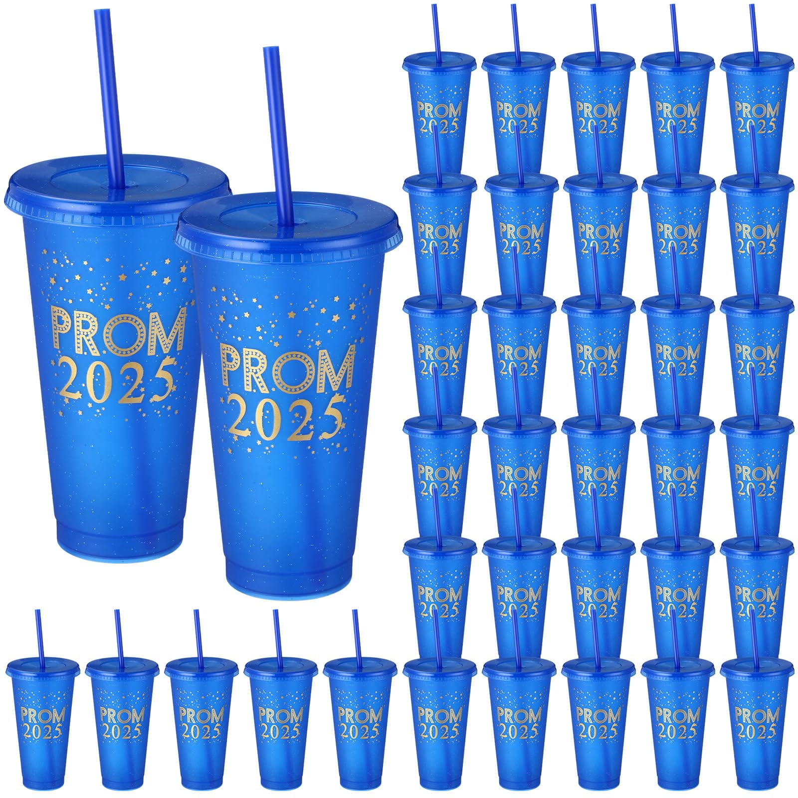Tiangrid 24 Pcs 2025 Graduation Prom Cups Grad Party Favors Gifts 24 ...