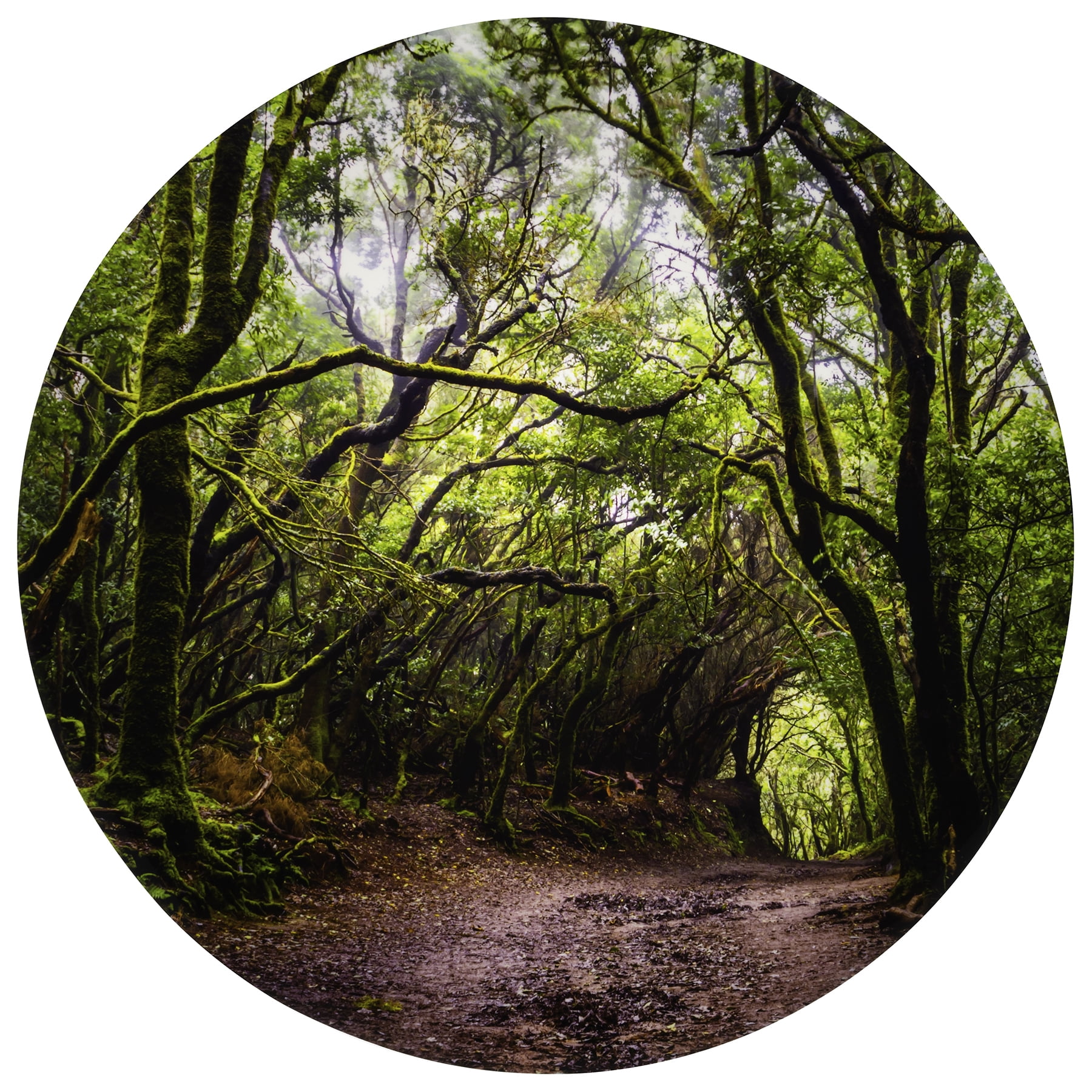 TickiT Forest Discovery Play Mat - Walmart.com