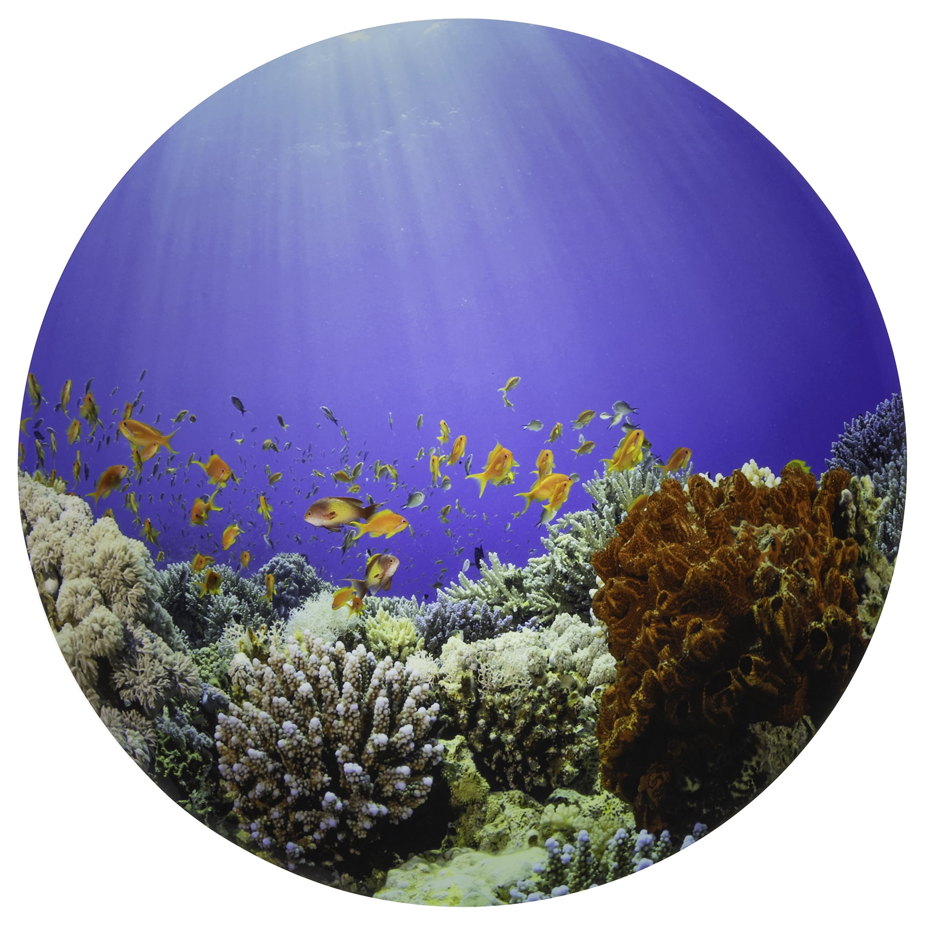 TickiT Under the Sea Discovery Play Mat - Walmart.com