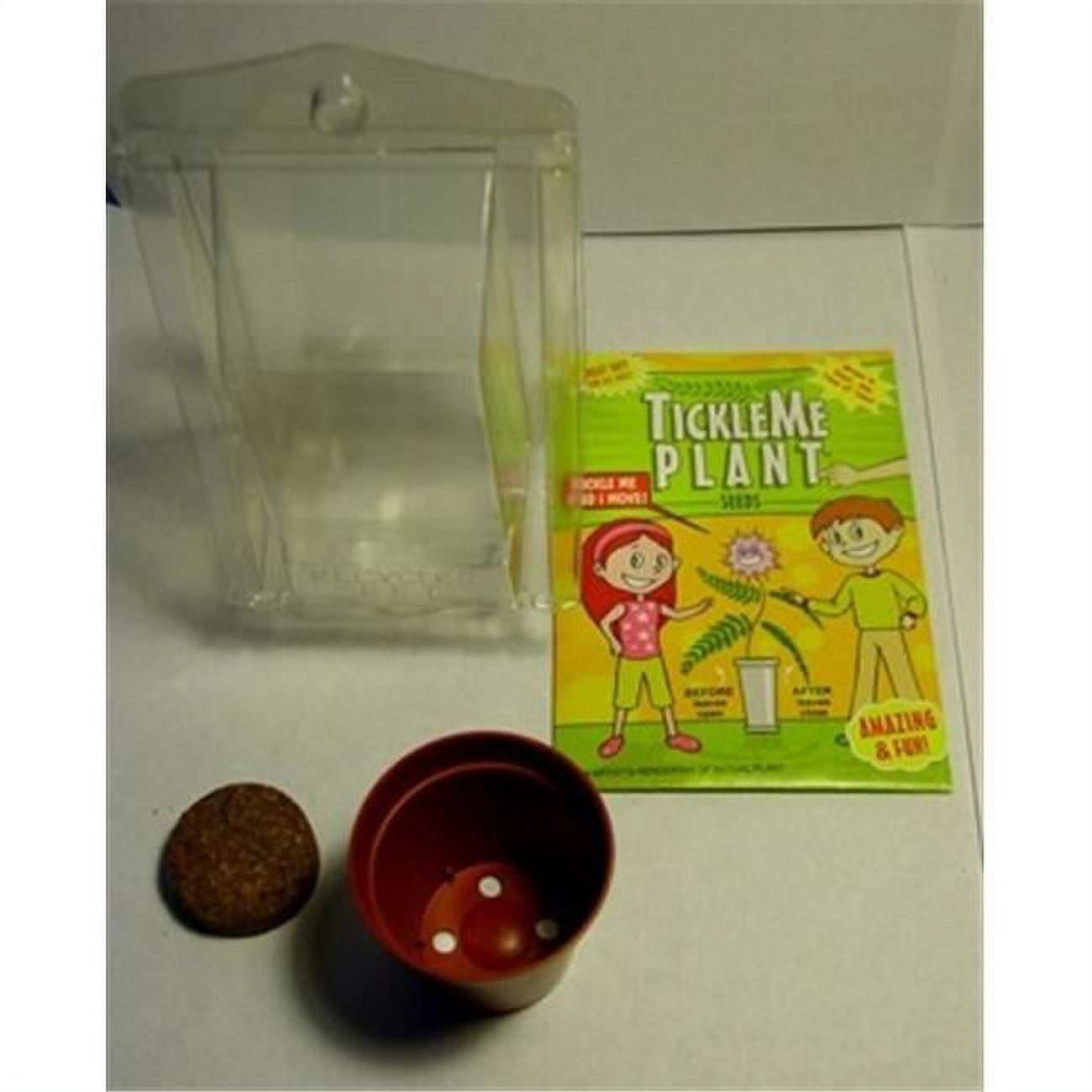 TickleMe Plant Co. MH1 TickleMe Plant Party Favor- 2 cases of 12 ...