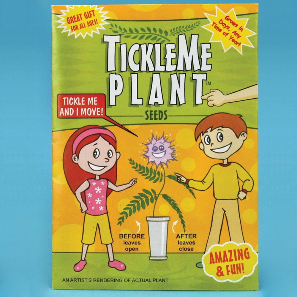 Tickleme Plant Seed Packet, 10-20 Seeds per Packet, Indoor Responsive ...