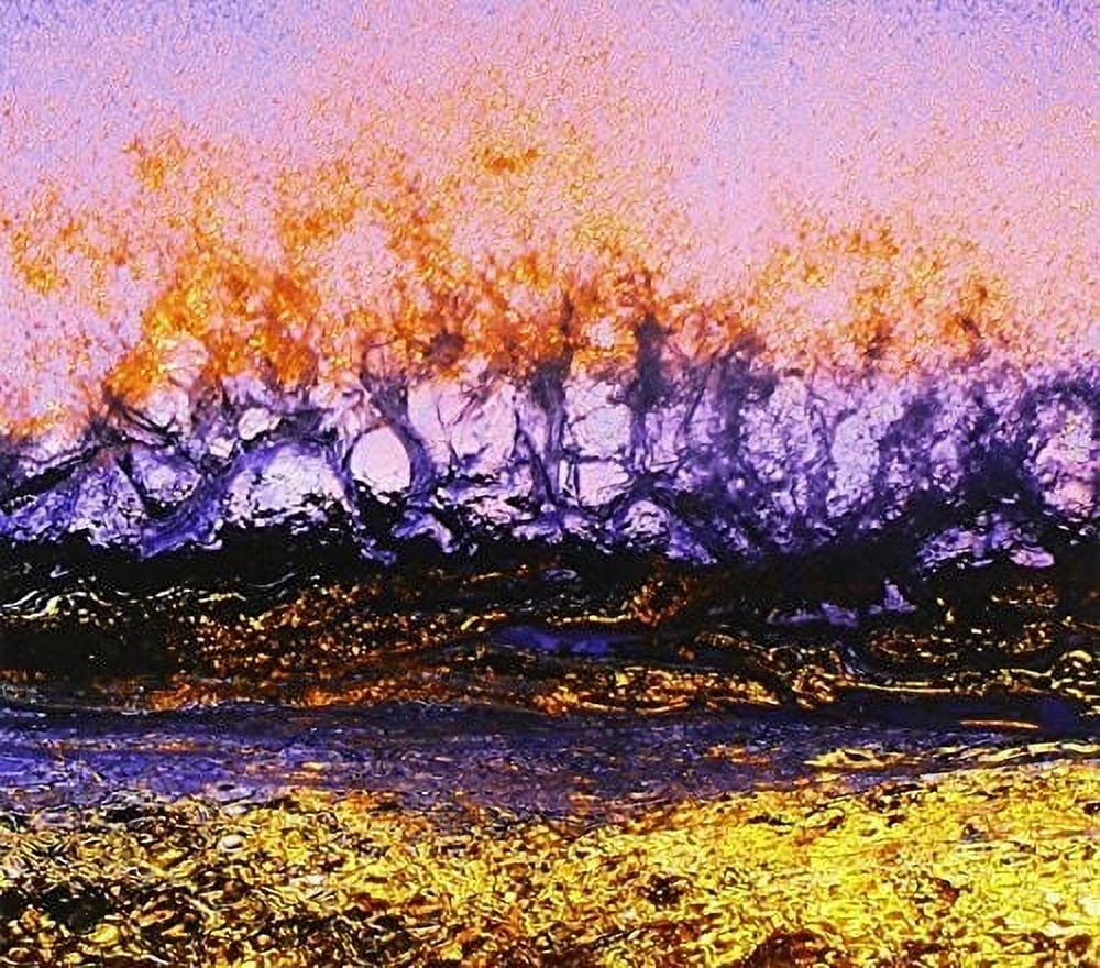 Pre-Owned Tide (CD) - Walmart Business Supplies