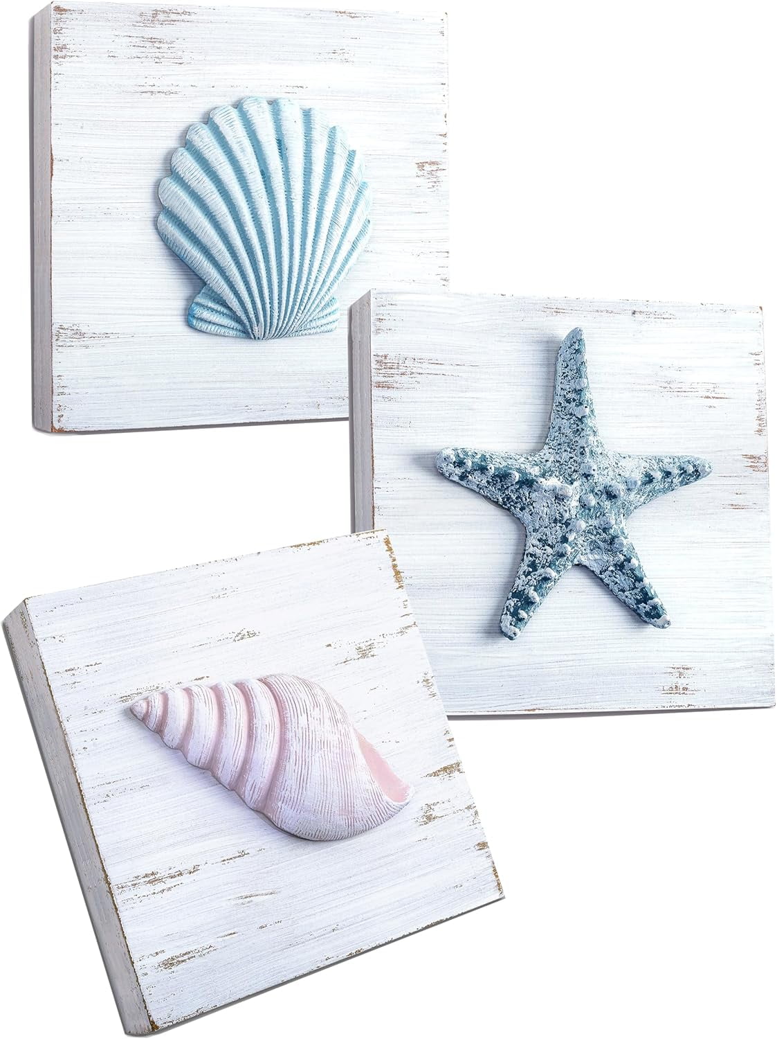TideAndTales 3D Beach Wall Art - Seashell with Starfish for Coastal ...