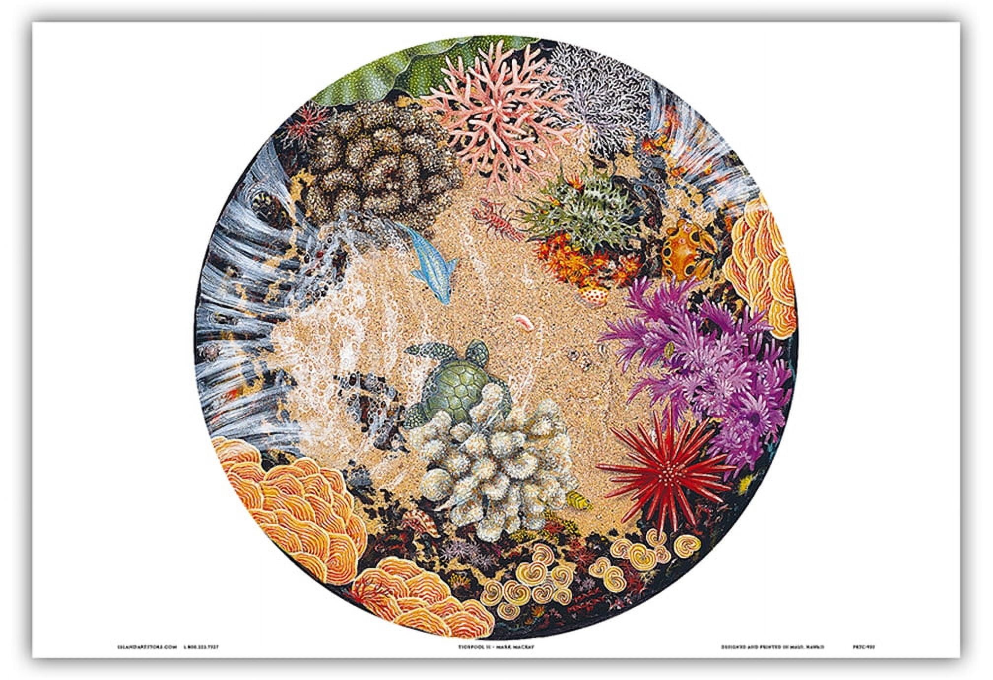 Tidepool II - Circular View of a Hawaiian Tide Pool - From an Original ...