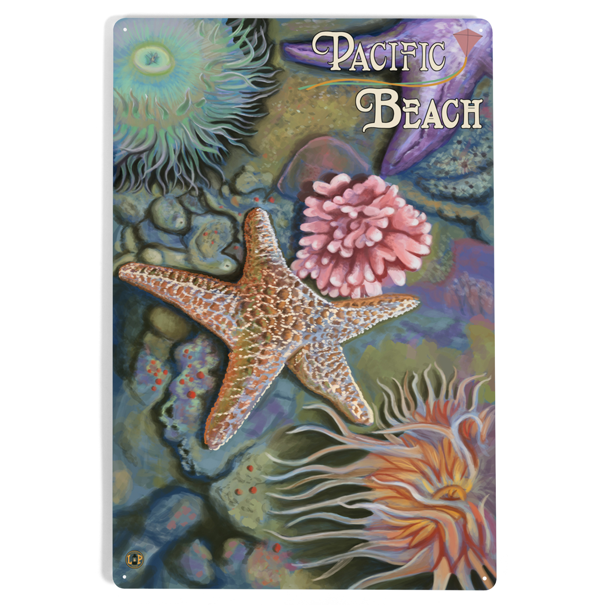 Tidepools, Pacific Beach, Washington (12x18 Aluminum Art, Indoor ...