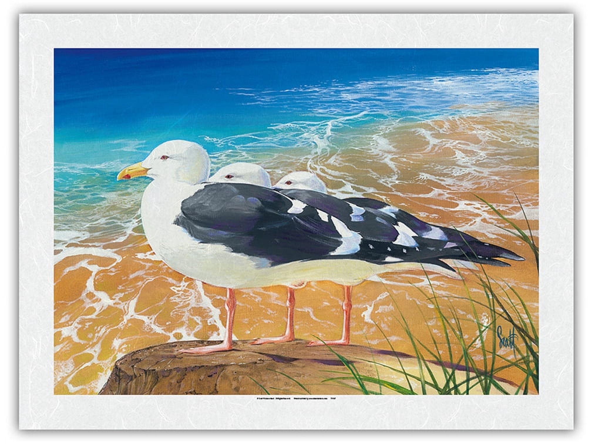 Tidewater Trio - Seagulls - From an Original Color Painting by Scott ...