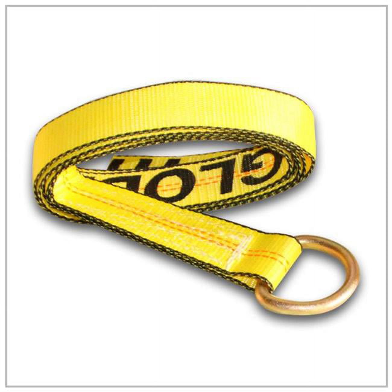 Tie 4 Safe TWS21-510-W27-Y-2 2 in. x 10 ft. Lasso Strap with D Ring ...