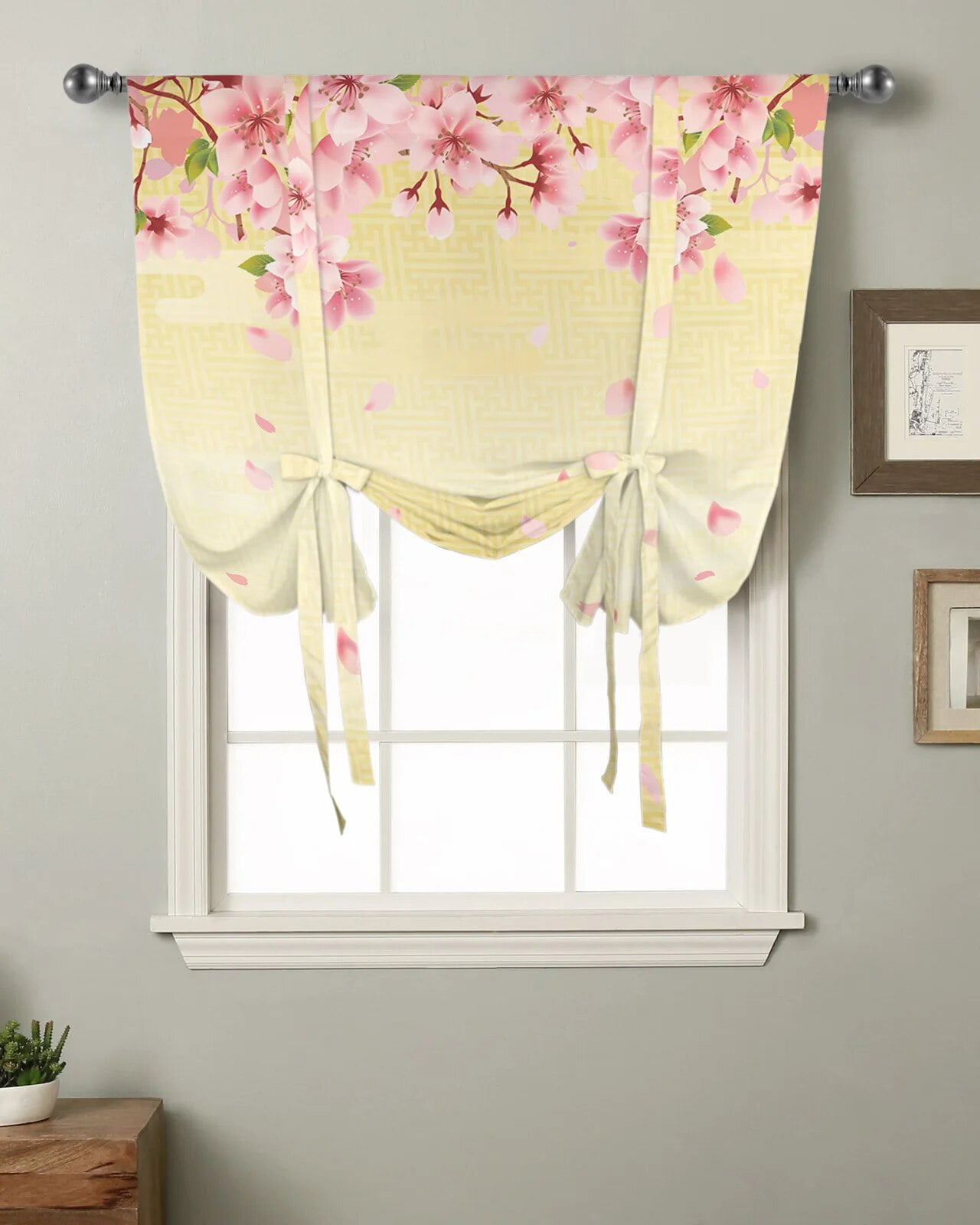 Japan Flowers Sakura