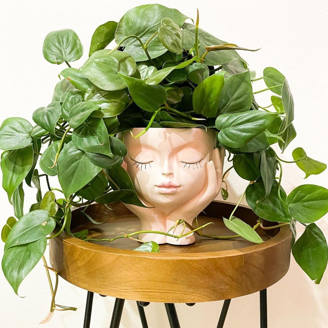 Tiered Bubble Ceramic Plant Pot, Creamy White 6 Inch Ceramic Planter ...