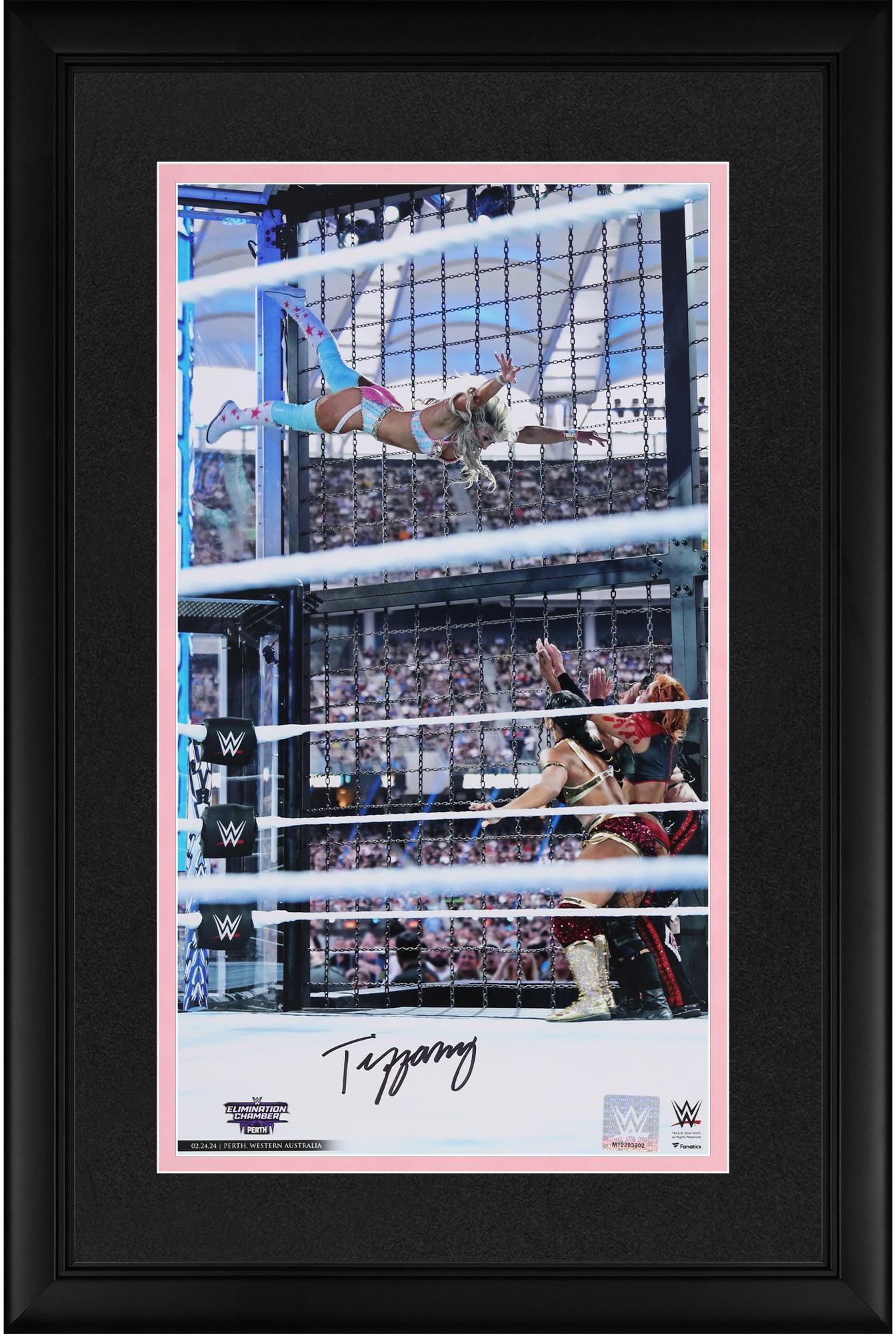 Tiffany Stratton WWE Framed Autographed 10" x 18" Elimination Chamber ...