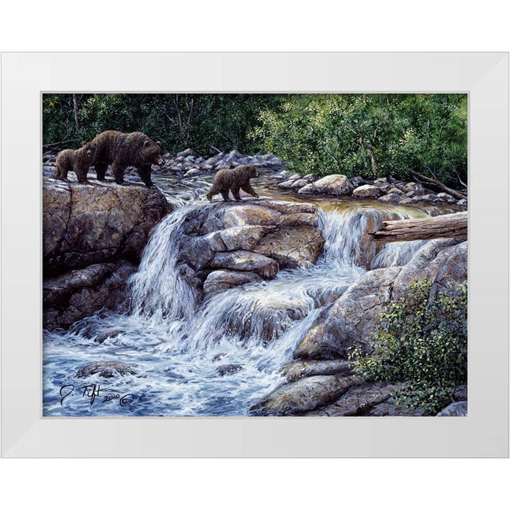 Tift, Jeff 14x12 White Modern Wood Framed Museum Art Print Titled ...