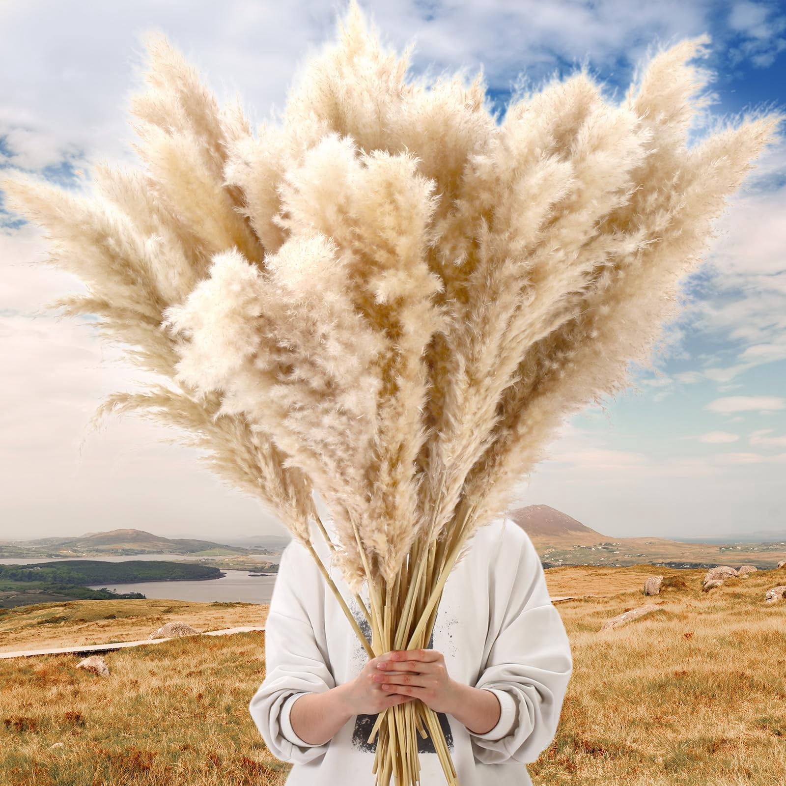 Tigeen 40" Inch 80 Stems Pampas Grass Decor, Natural Dried Pampas ...