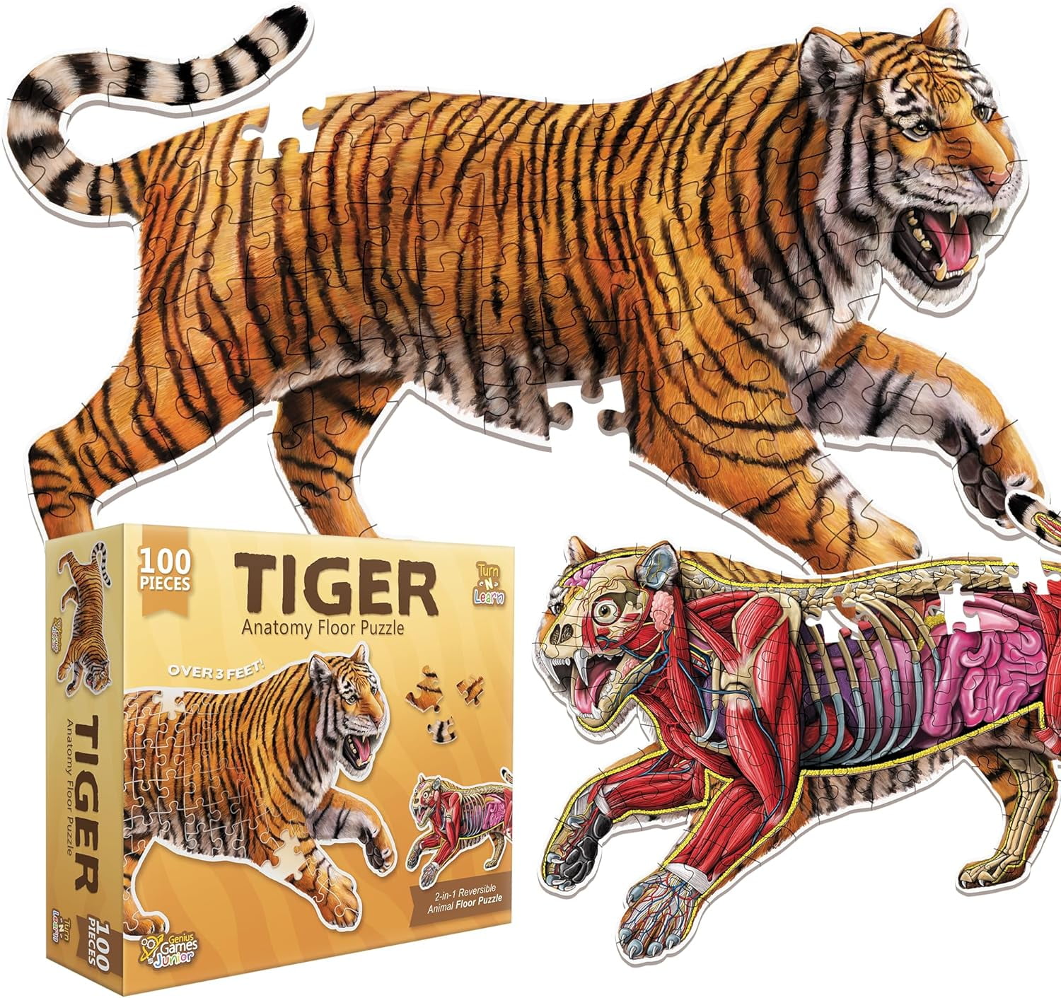 Tiger Animal Anatomy Floor Puzzle | 100-Piece Double Sided Jigsaw ...