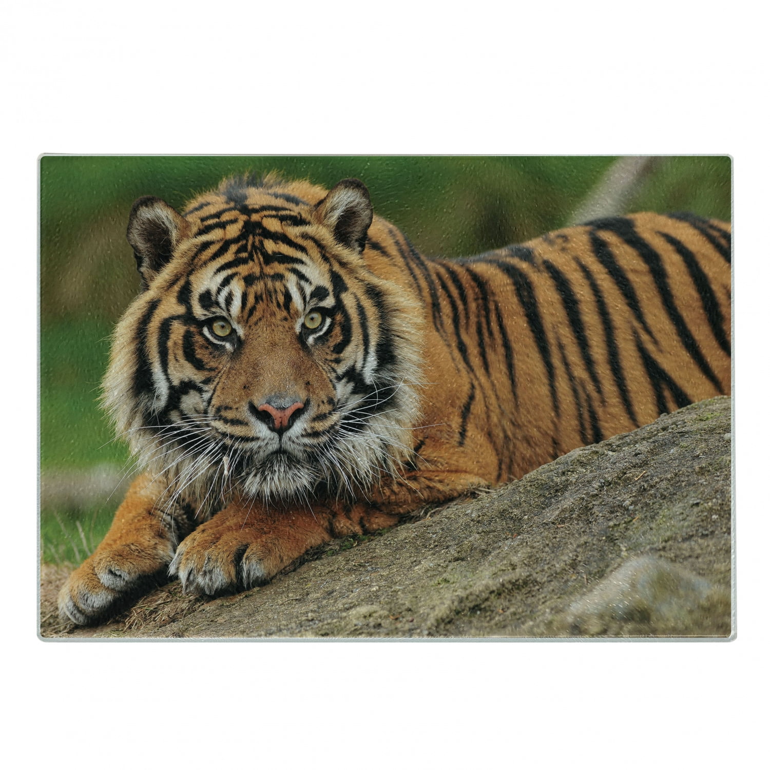 Tiger Cutting Board, Noble Beast Crouching on a Rock Sumatrian Large ...