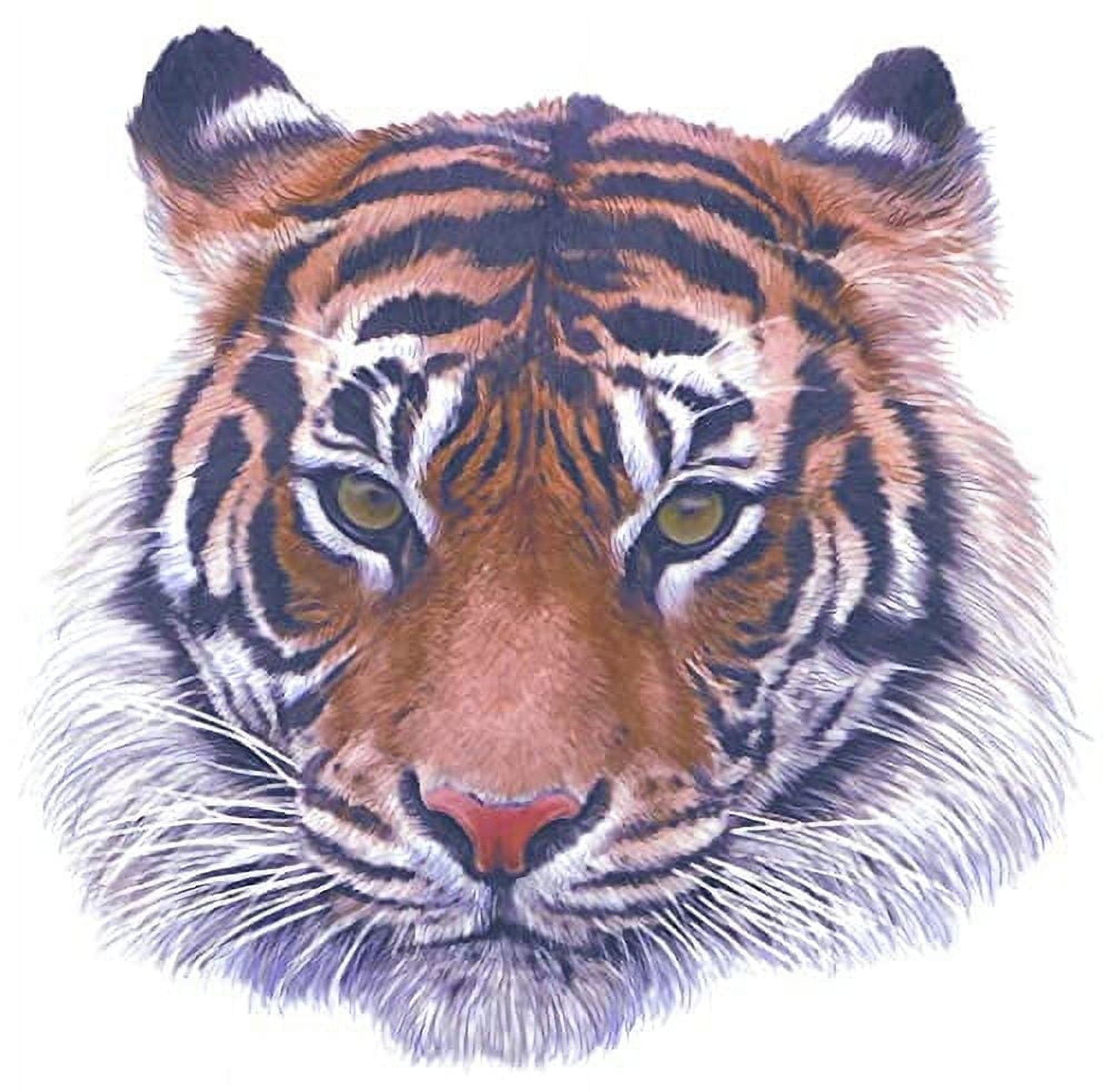 Whimsical Practicality's Ferocious Tiger Edible Icing Image Cake Topper ...