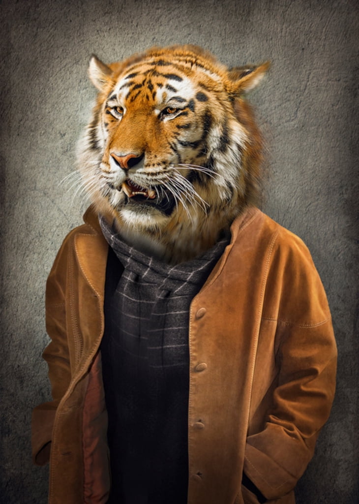 Tiger Head Human Body Wearing Clothes Jungle Cat Face Portrait Funny ...
