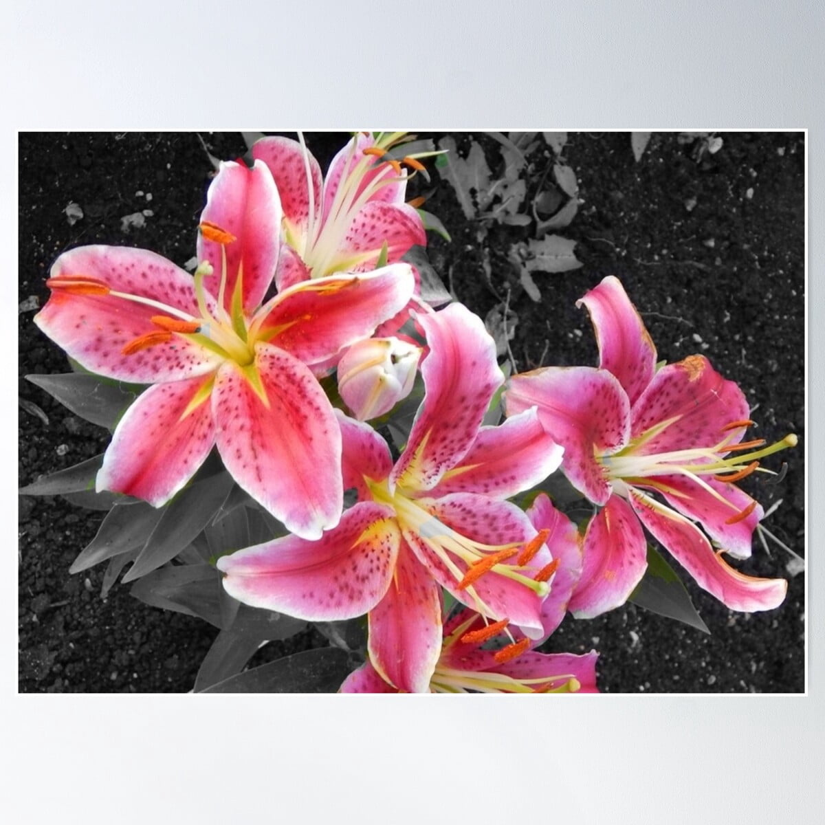 Tiger Lilies By The Bandstand Poster Wall Art, Modern Wall Decor For ...