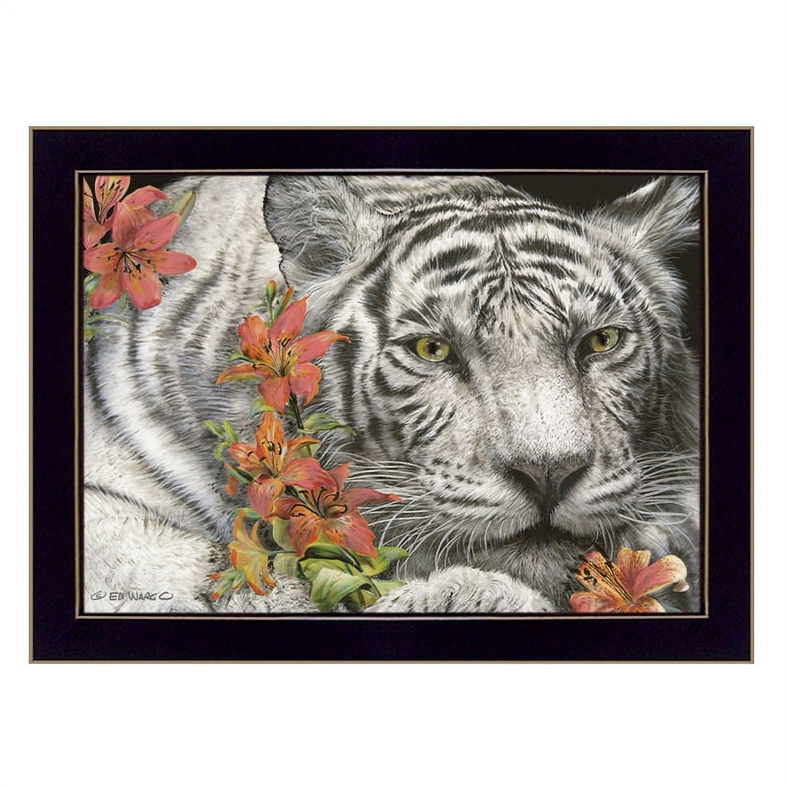 Tiger Lily By Ed Wargo Printed Framed Wall Art Wood Multi-Color ...