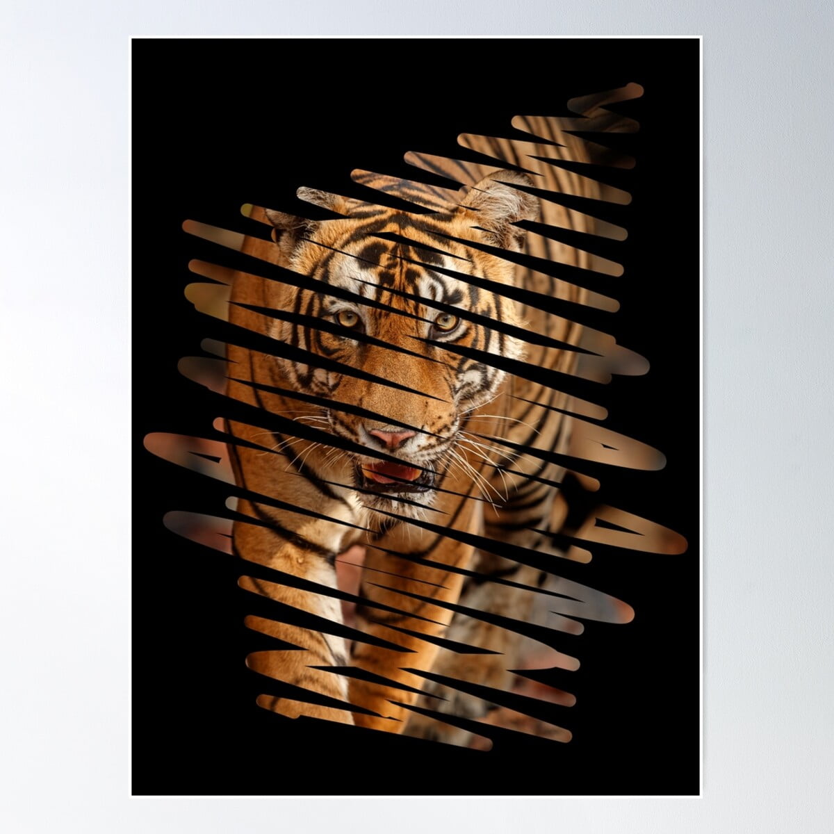 Tiger Looking Straight Ahead Poster Wall Art, Modern Wall Decor For ...
